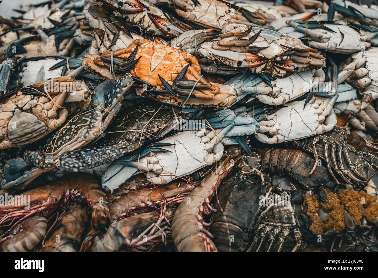 Raw prawns and crabs top view on the counter at fish market Stock Photo ...