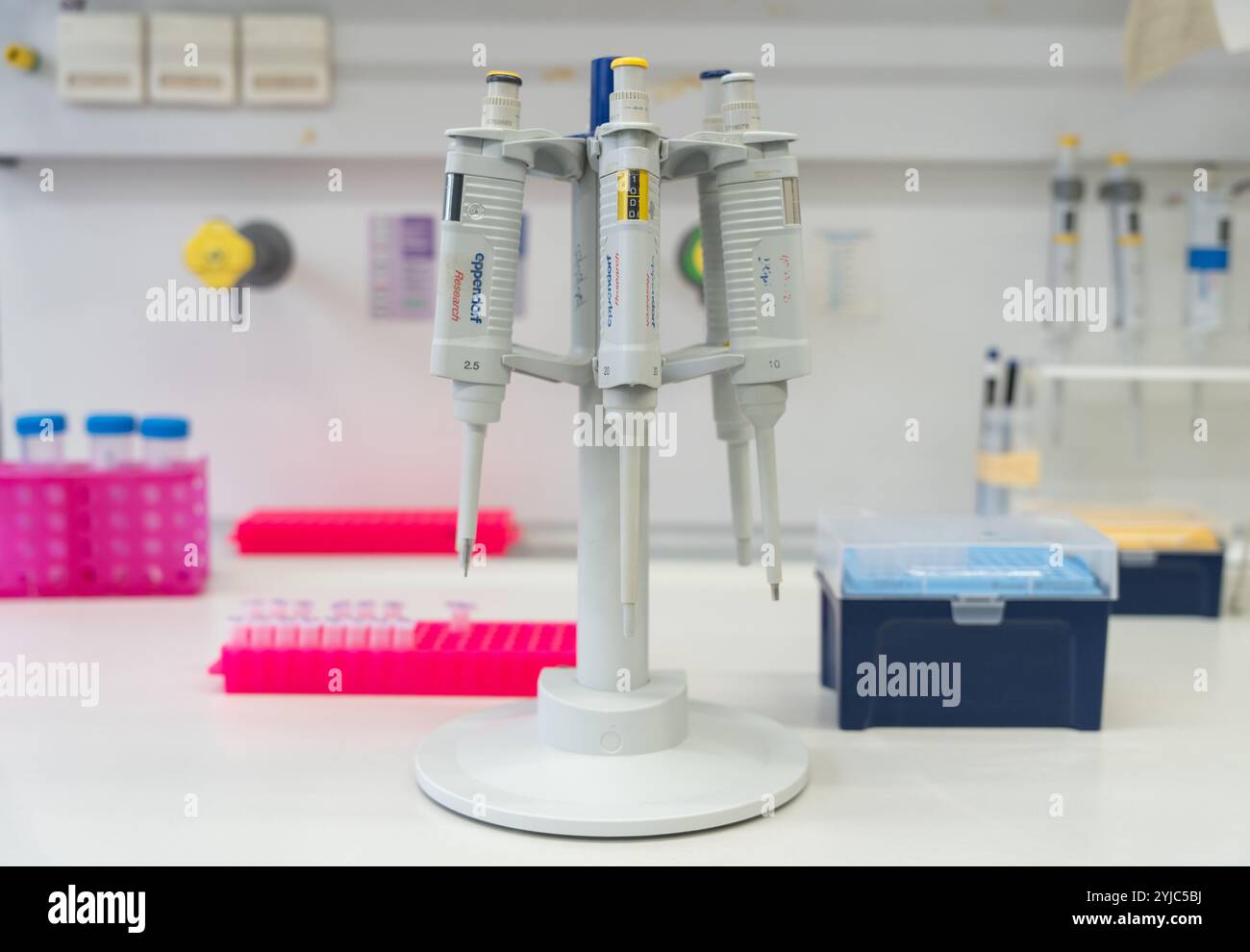 PRODUCTION - 07 November 2024, Hesse, Frankfurt/Main: Pipettes in a ...