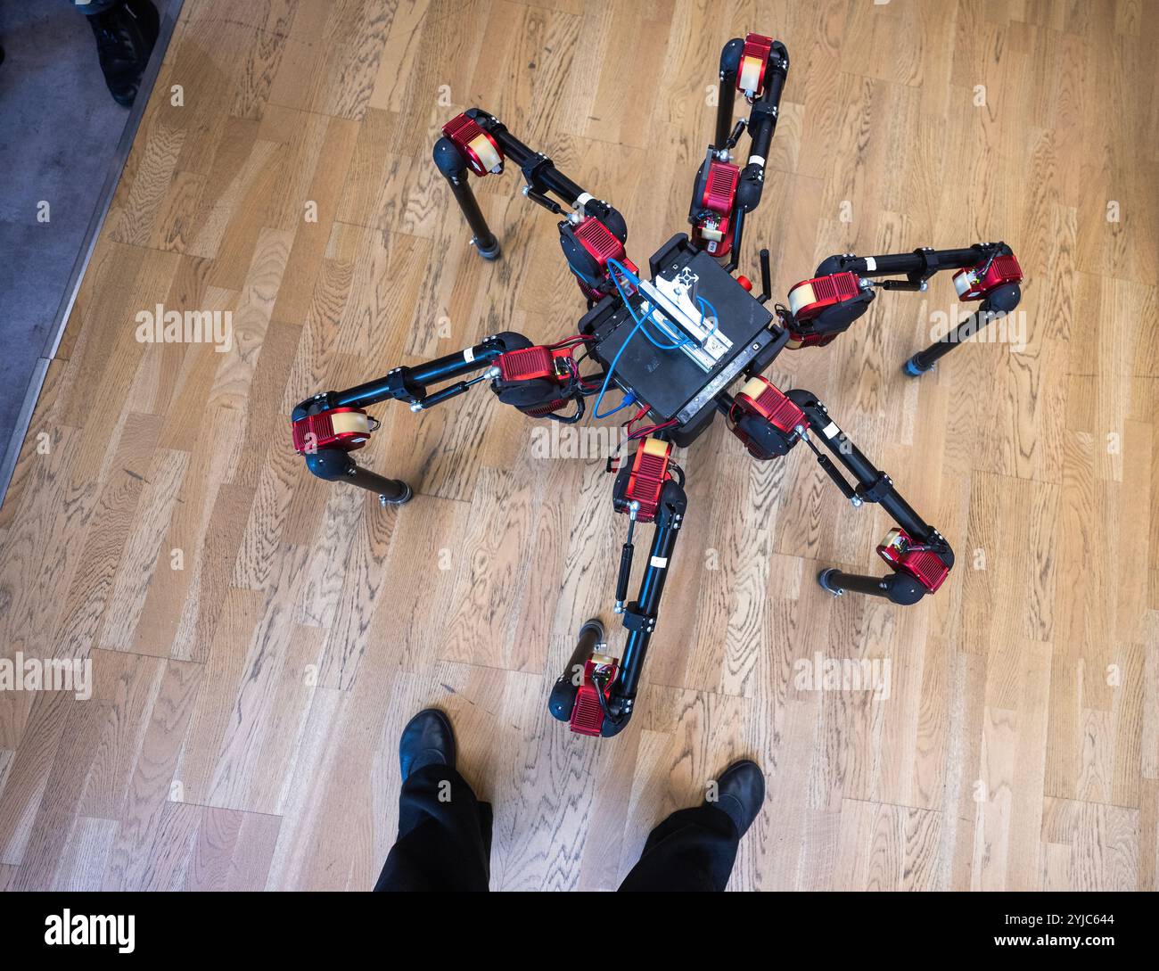 Prague, Czech Republic. 14th Nov, 2024. AI HotSpot: Innovate, Implement ...