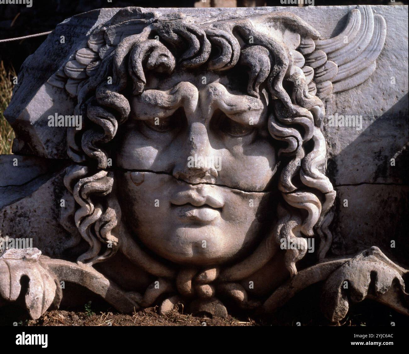 Medusa personaje mitologico hi-res stock photography and images - Alamy