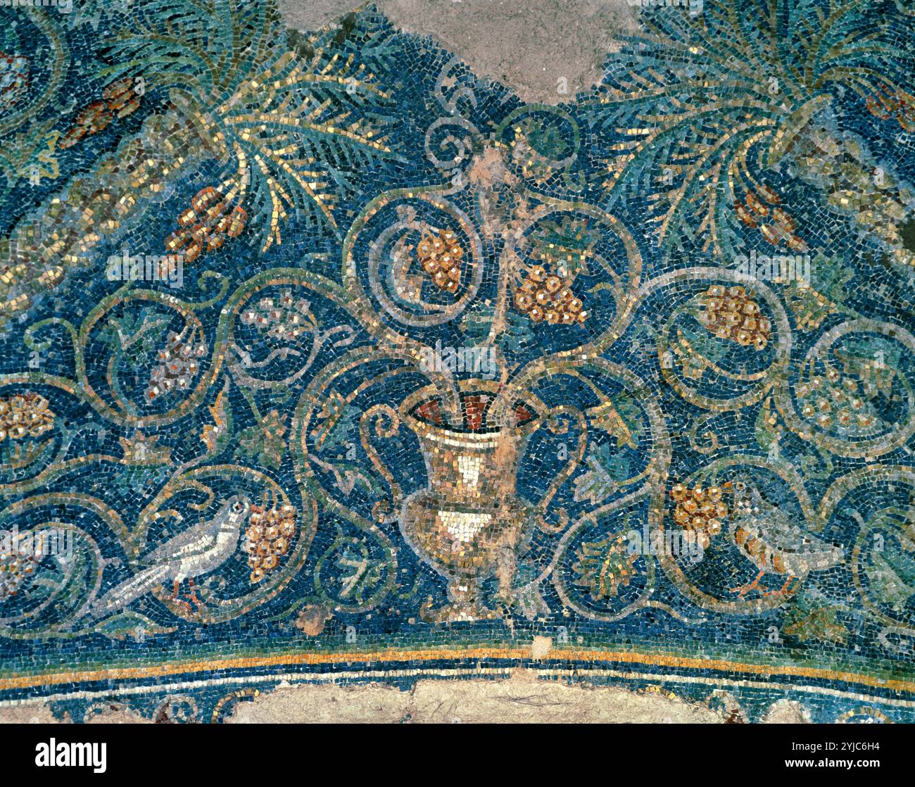 Grape vine mosaic roman hi-res stock photography and images - Alamy