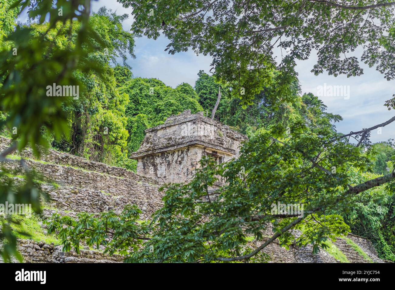 The ancient pyramids of Palenque in Mexico, surrounded by lush jungle ...