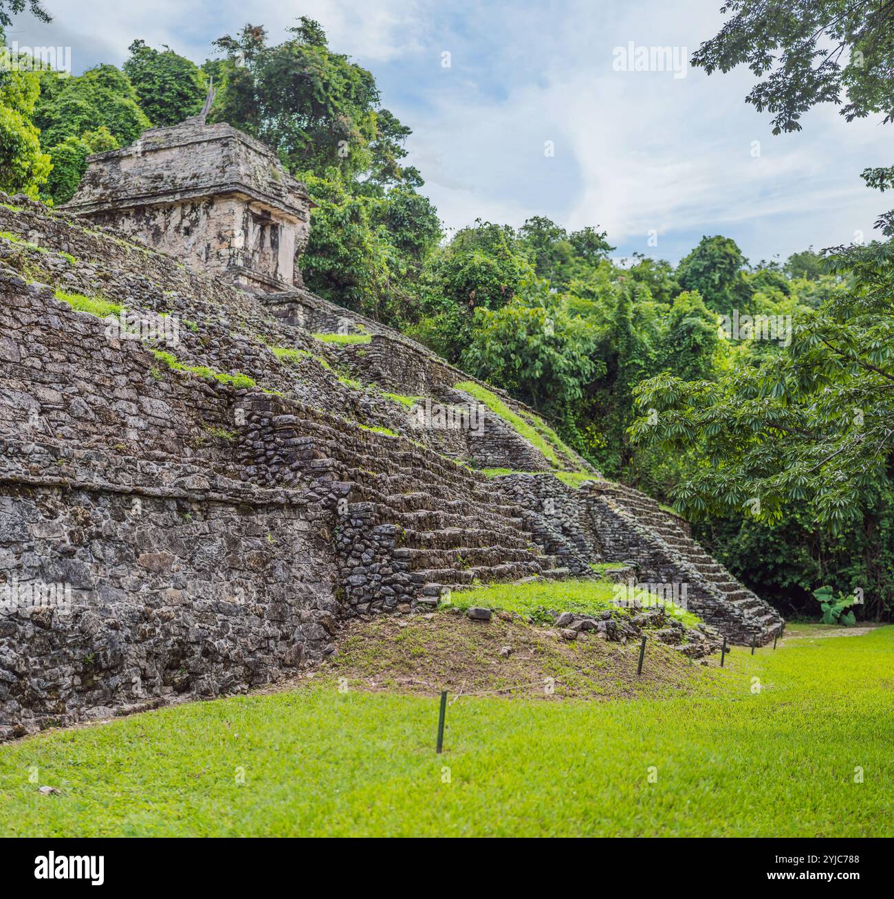 The ancient pyramids of Palenque in Mexico, surrounded by lush jungle ...