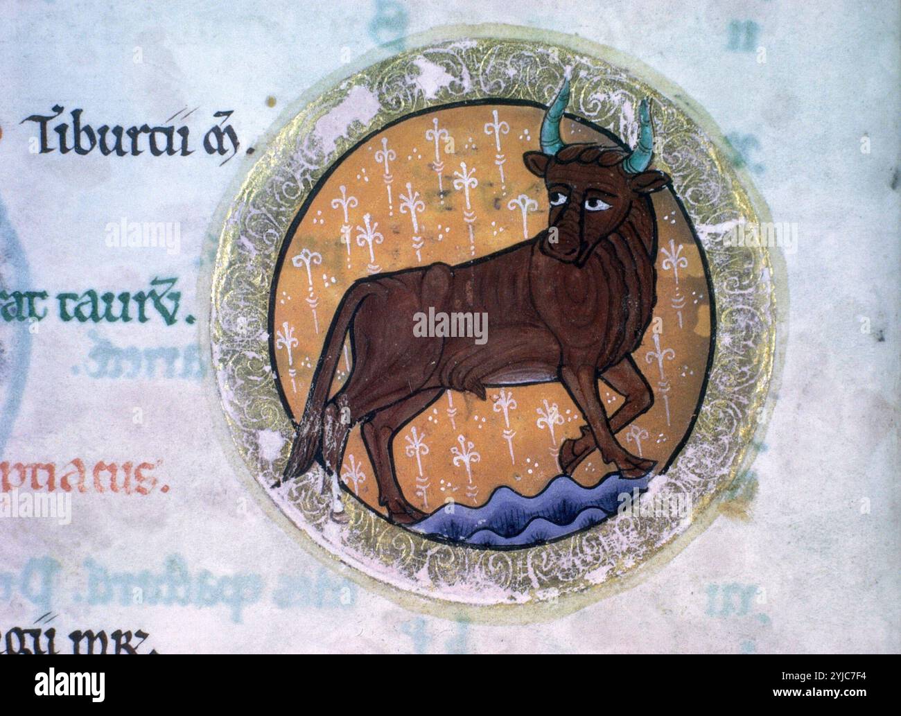 Astrology history historical taurus hi-res stock photography and images ...