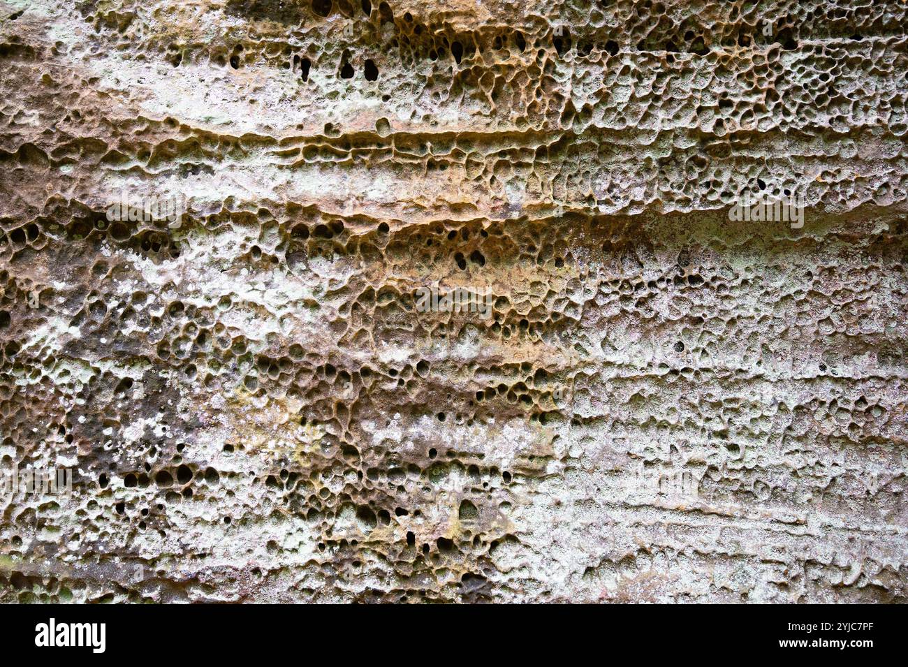 Sandstone, marl, limestone and dolomite rock formation at the ...