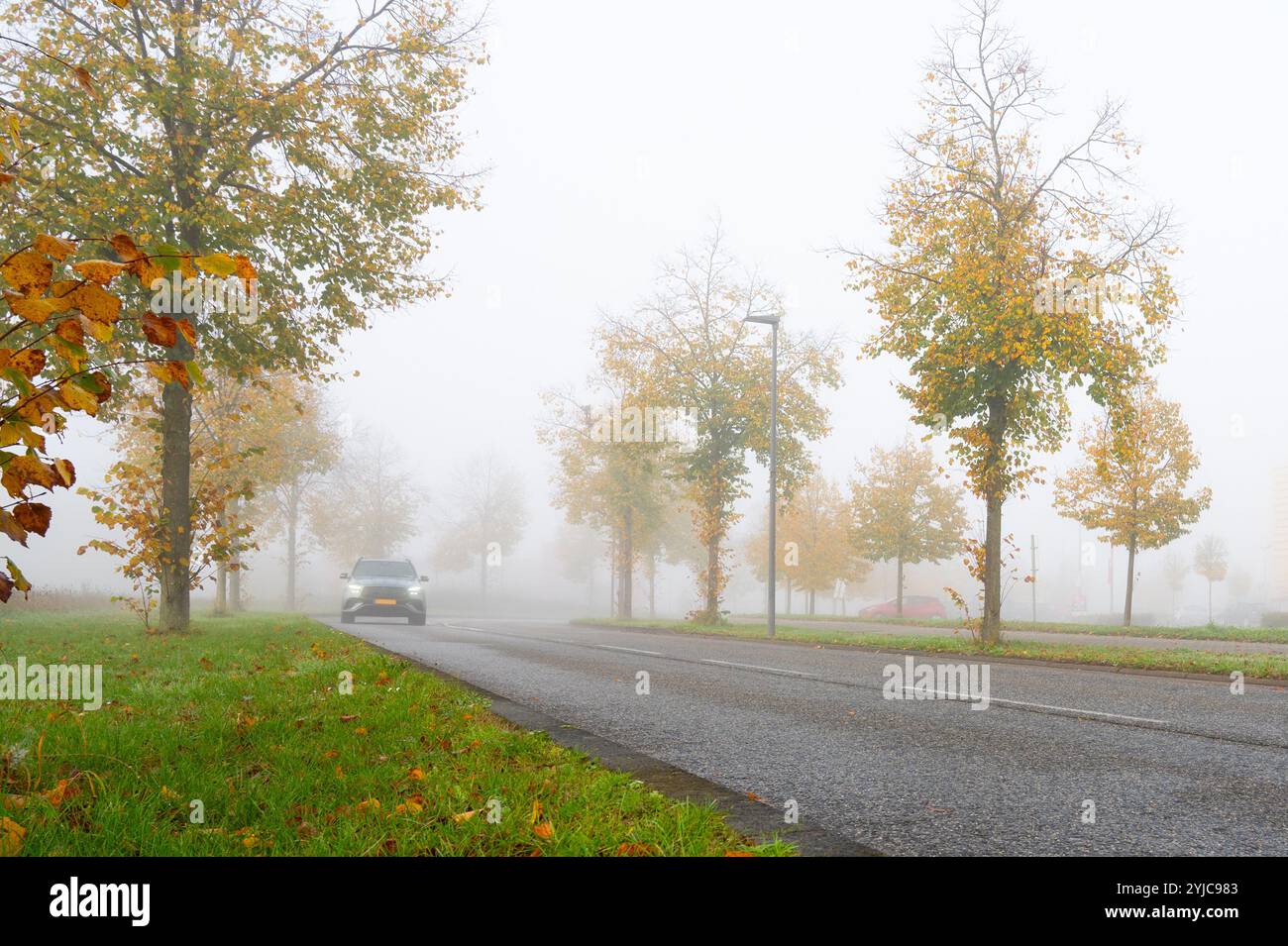 Car driving on a foggy road, rain, moisture, fog on an autumn morning ...