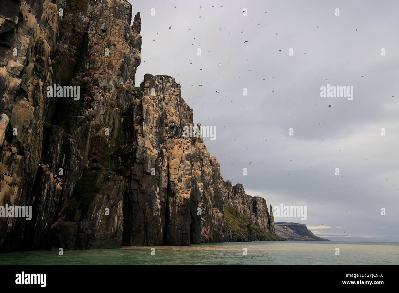 The spectacular Alkefjellet cliff with guillemots, dolerite columns ...