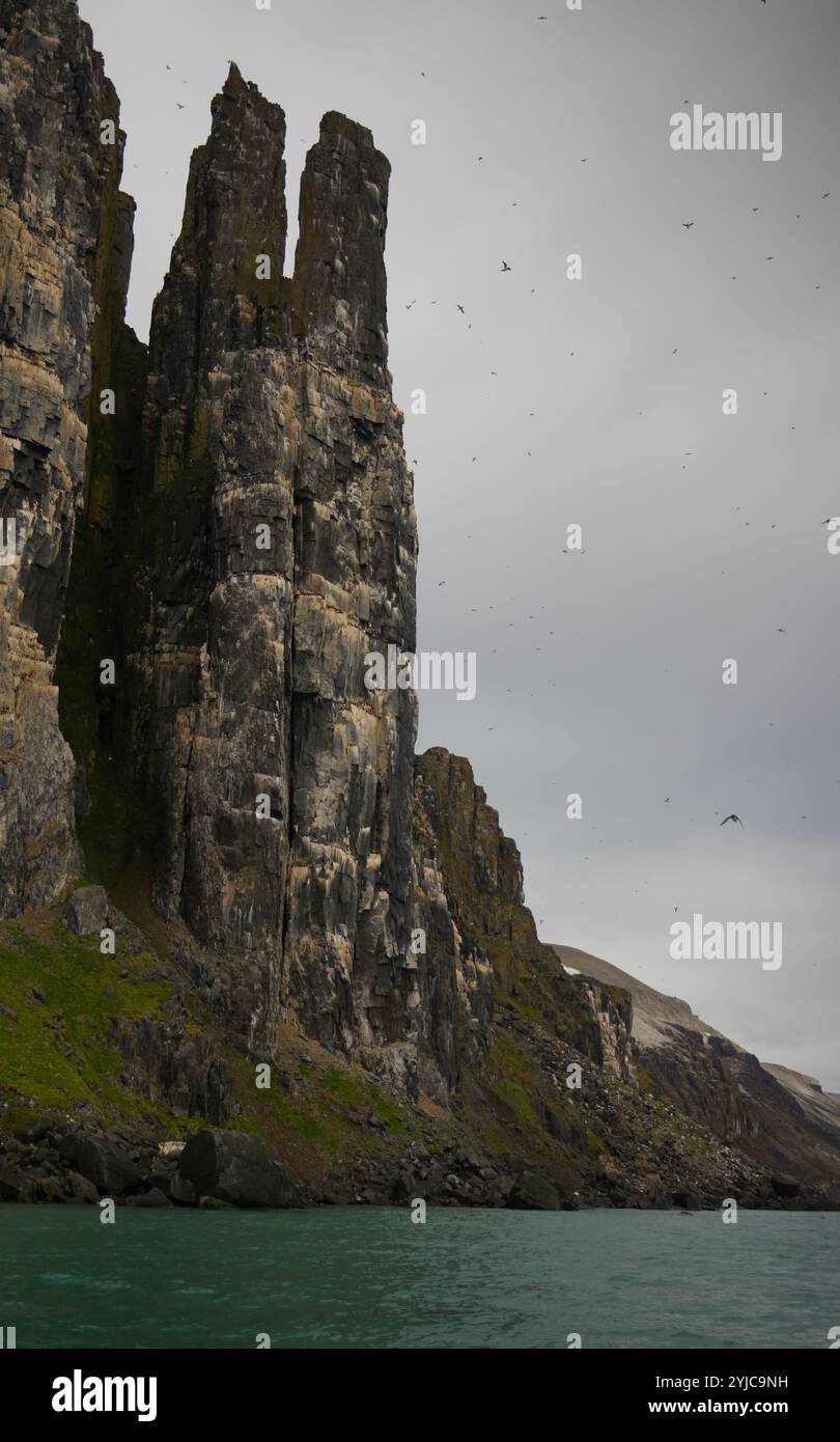 The spectacular Alkefjellet cliff with guillemots, dolerite columns ...