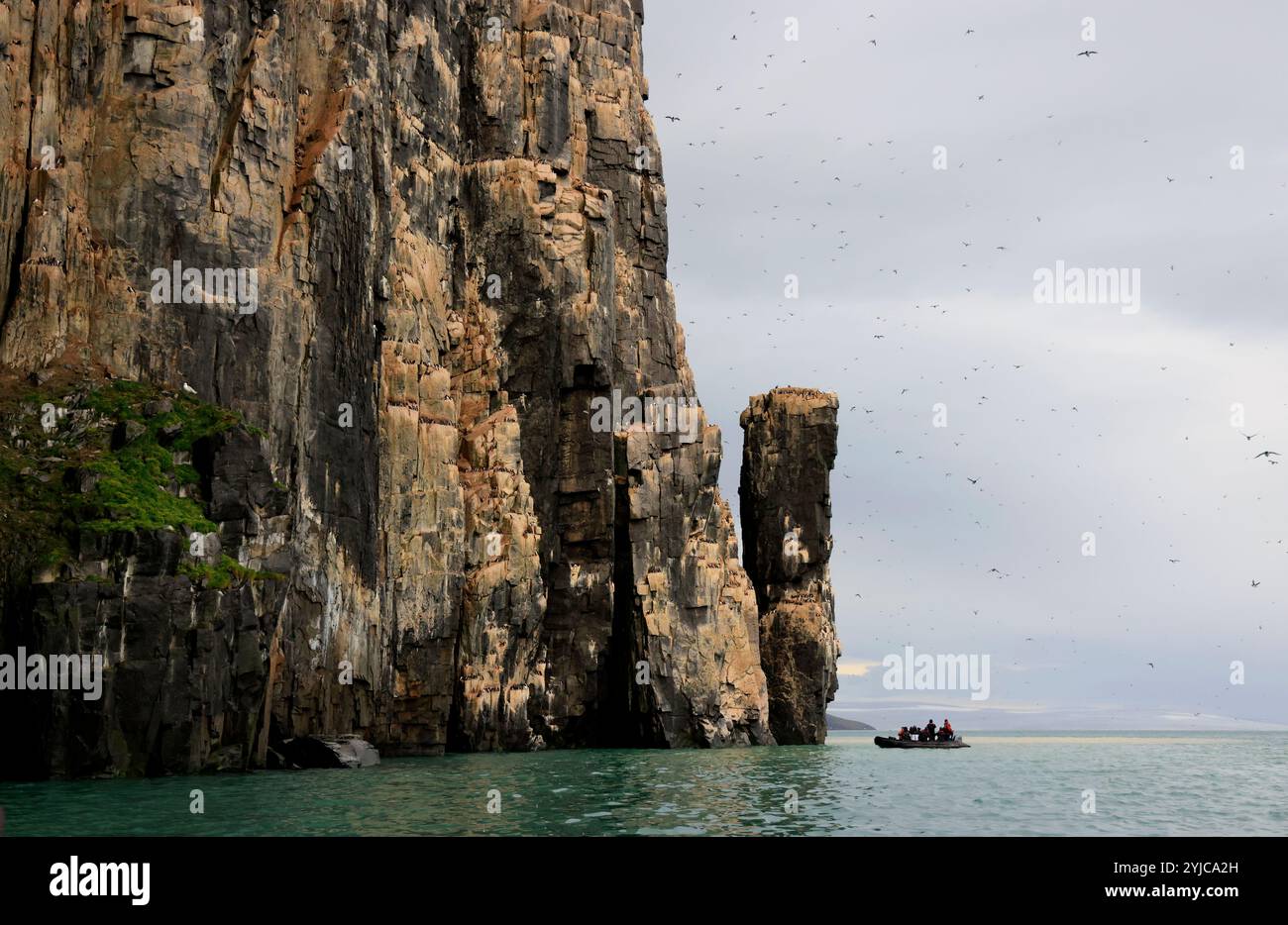 The spectacular Alkefjellet cliff with guillemots, dolerite columns ...