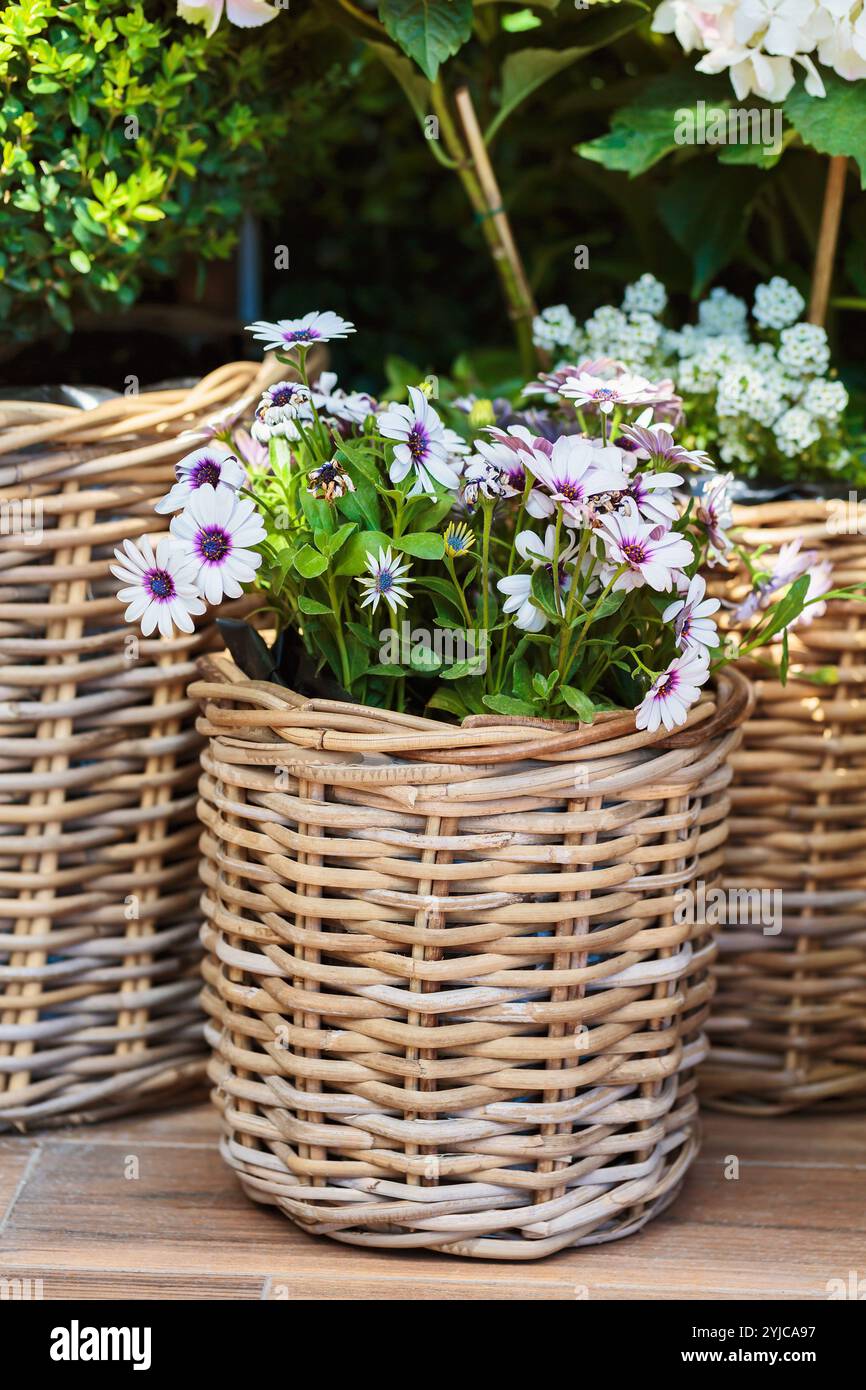 Nature inspired flowers hi-res stock photography and images - Alamy