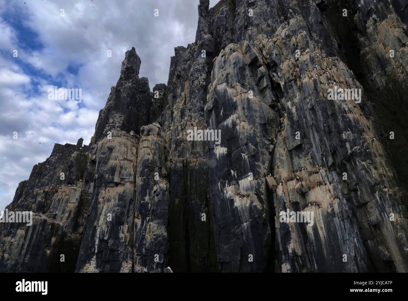 The spectacular Alkefjellet cliff with guillemots, dolerite columns ...