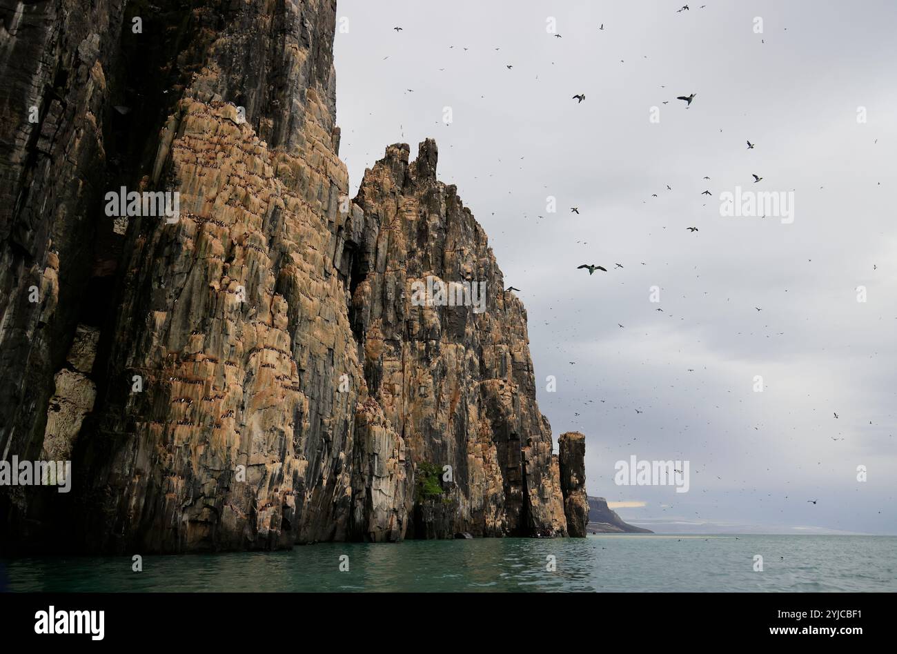 The spectacular Alkefjellet cliff with guillemots, dolerite columns ...