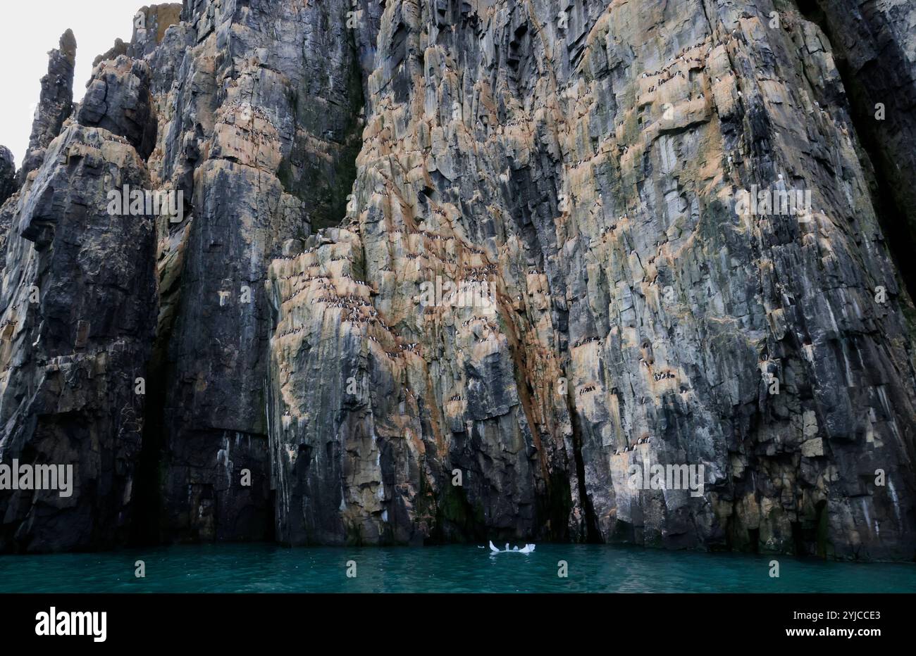 The spectacular Alkefjellet cliff with guillemots, dolerite columns ...