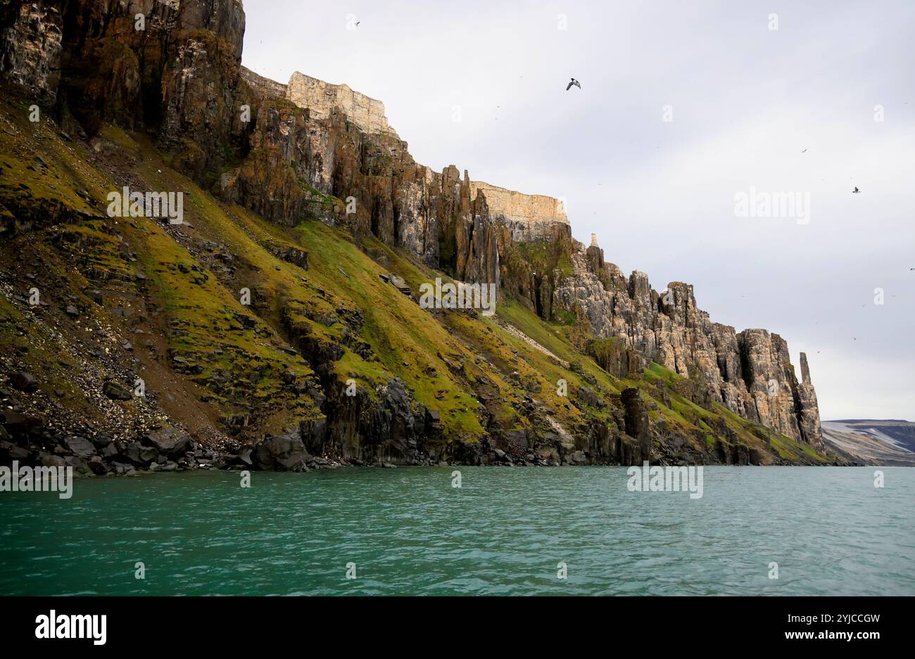 The spectacular Alkefjellet cliff with guillemots, dolerite columns ...