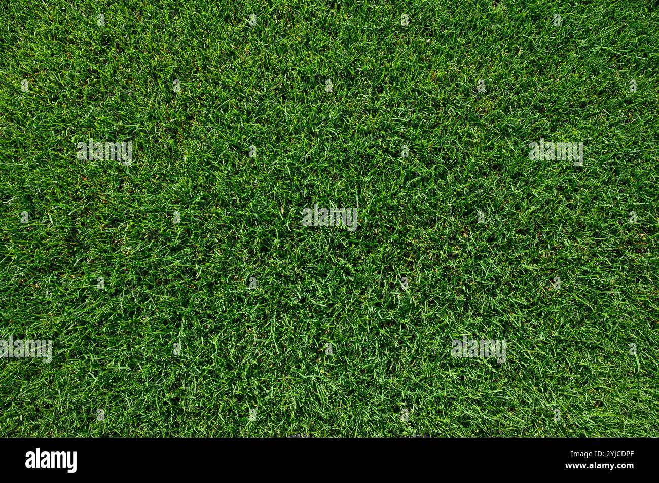 Beautiful pitch hi-res stock photography and images - Alamy