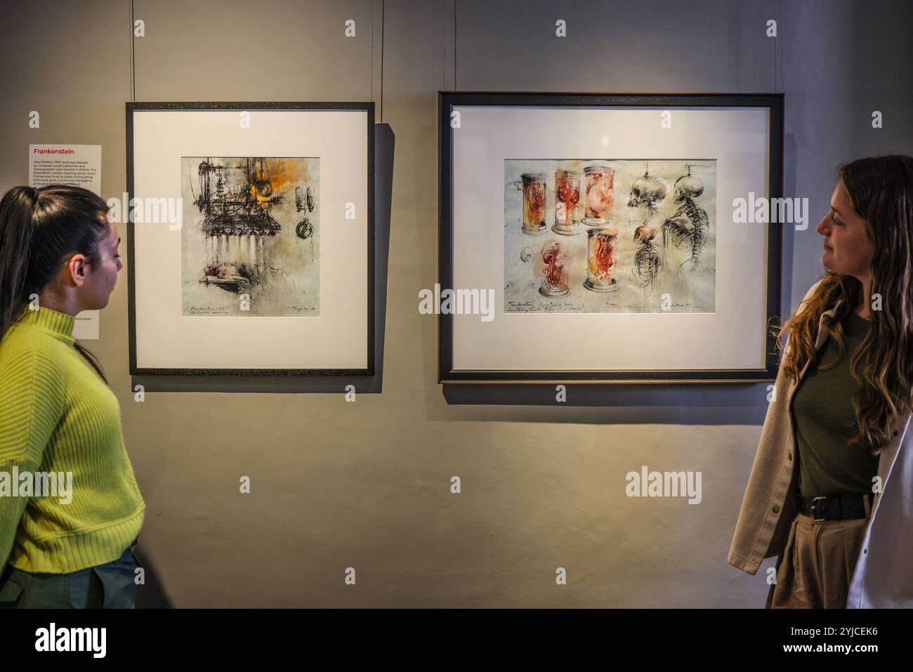 Gainsborough House, Sudbury 14 Nov 2024 Frankenstein, John Macfarlane ...