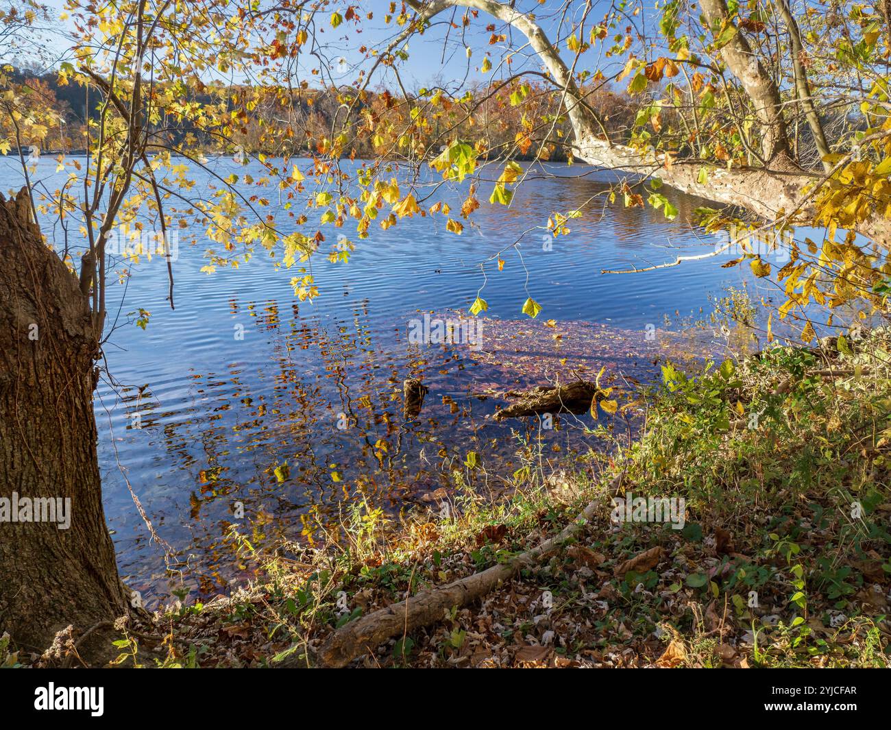 Potomac river trail hi-res stock photography and images - Alamy