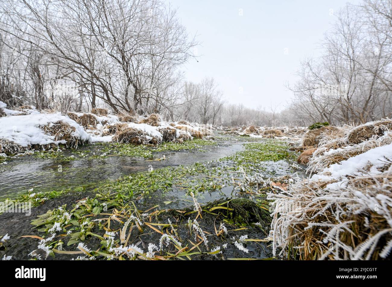 Hulun Buir. 14th Nov, 2024. This photo taken on Nov. 14, 2024 shows the ...