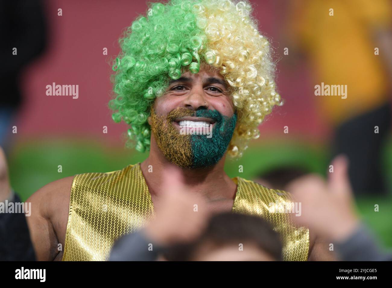 MELBOURNE, AUSTRALIA. 14th November 2024. An Australian Socceroos ...
