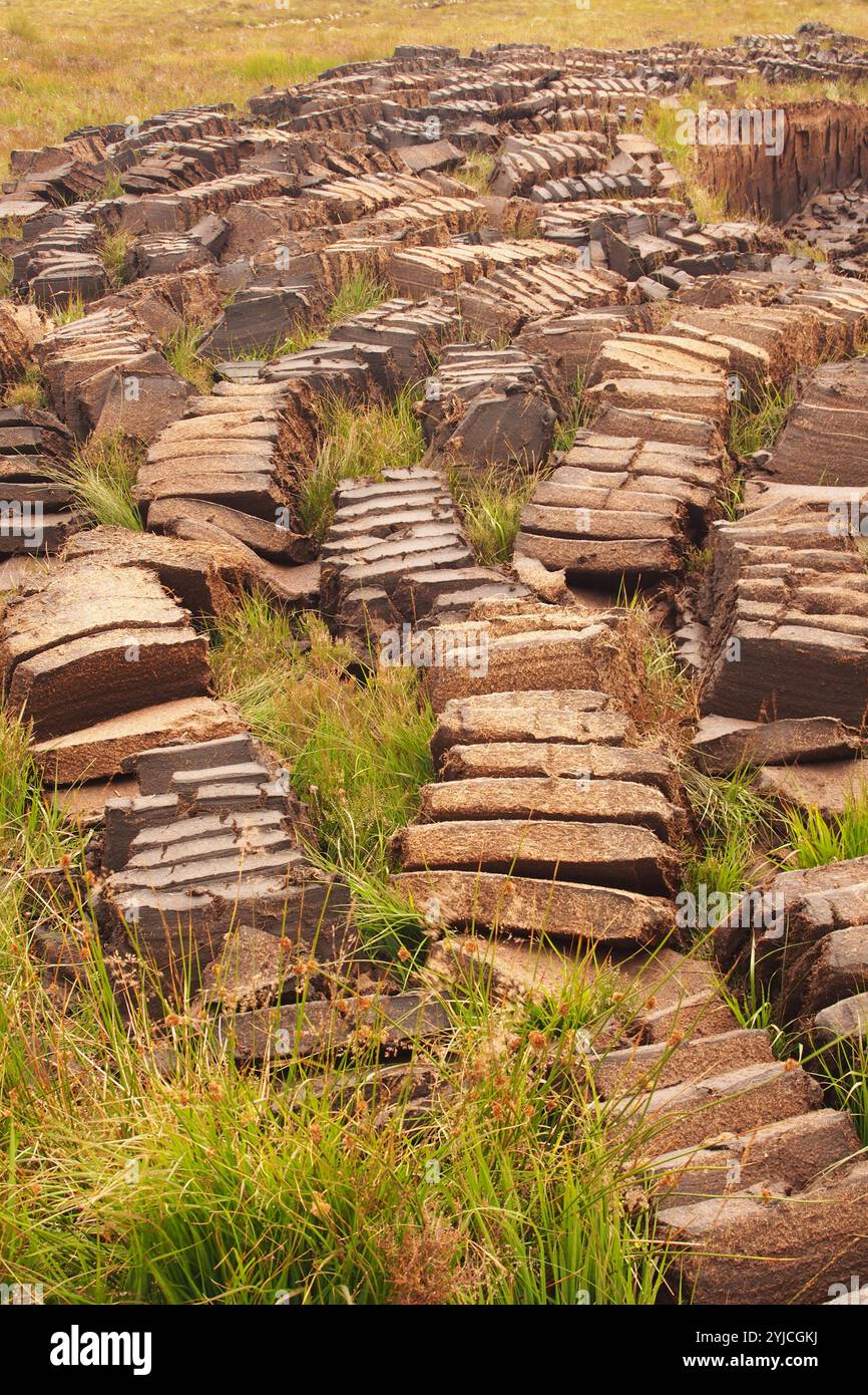 Cut peat hi-res stock photography and images - Alamy
