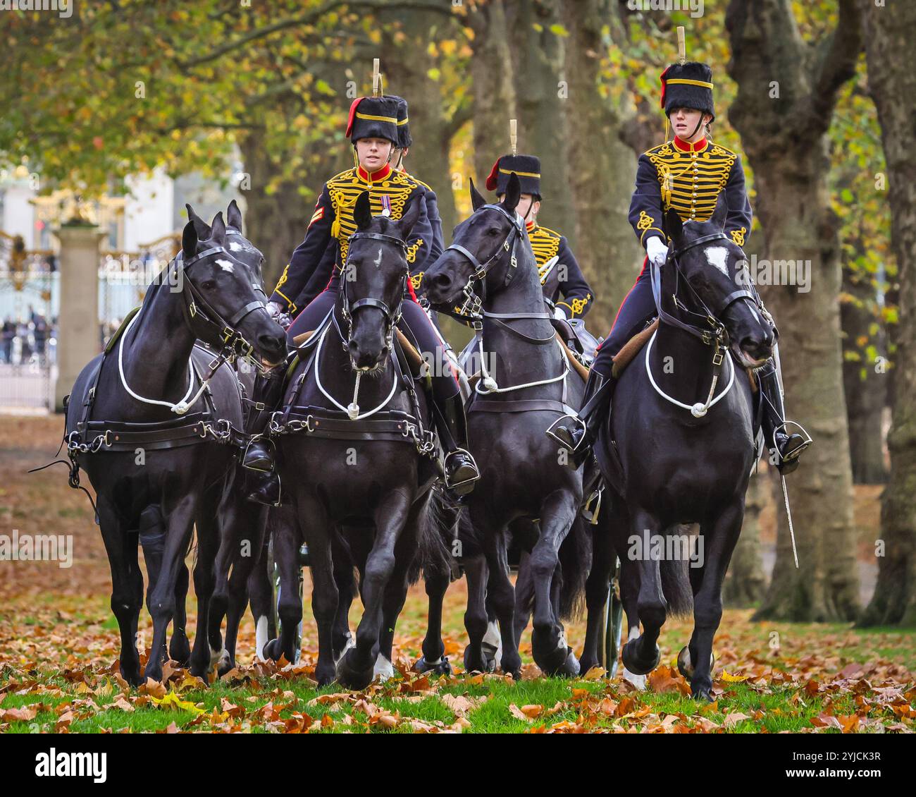 London, UK. 14th Nov, 2024. The mounted troops arrive. Horses ...