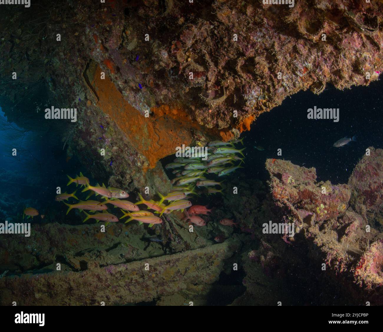Dunraven wreck red sea hi-res stock photography and images - Alamy