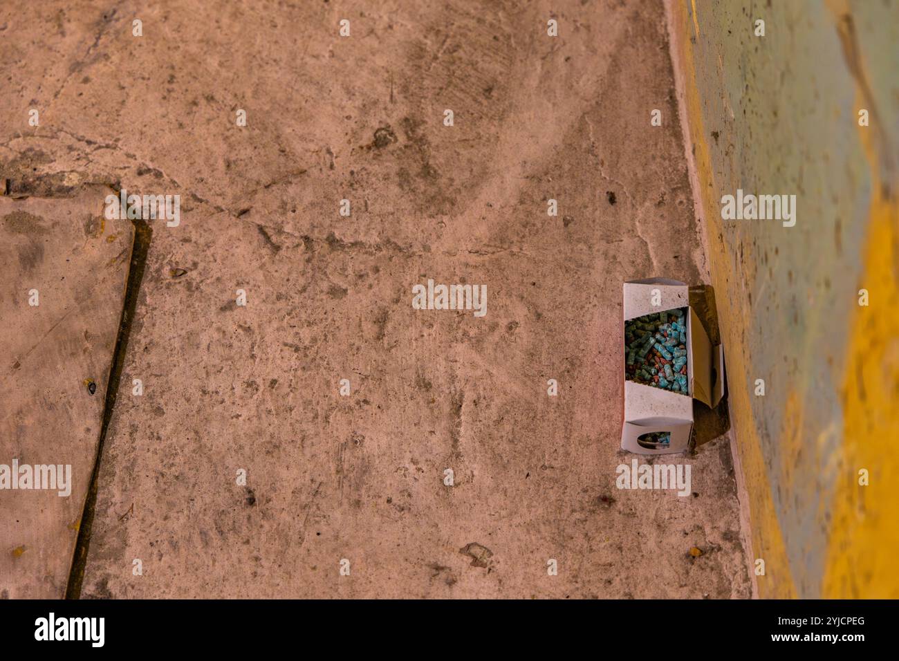 A box with poison for rats, mice, rodents, on the ground in the floor ...