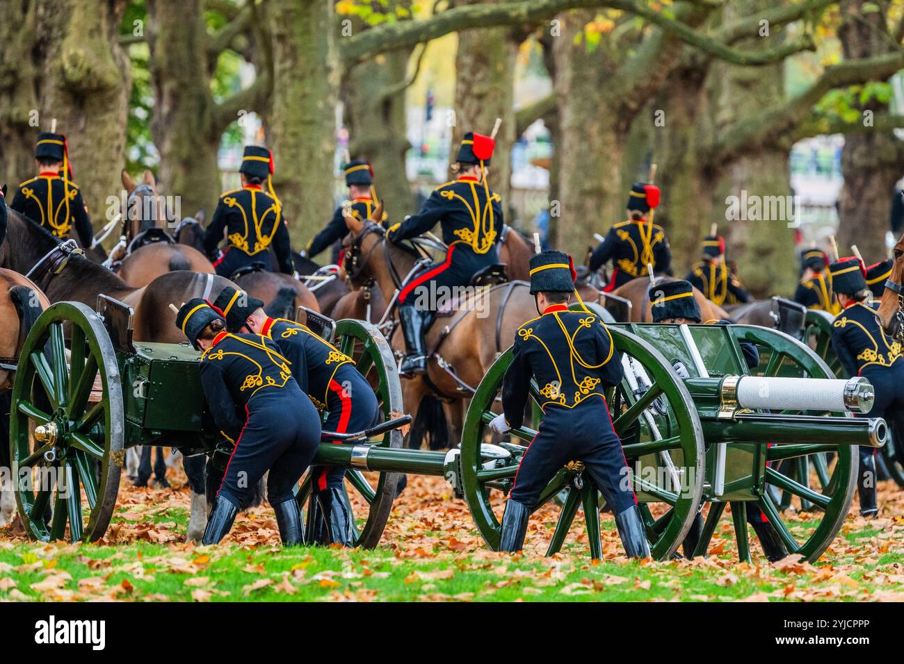London, UK. 14th Nov, 2024. After the salute the guns are collected and ...