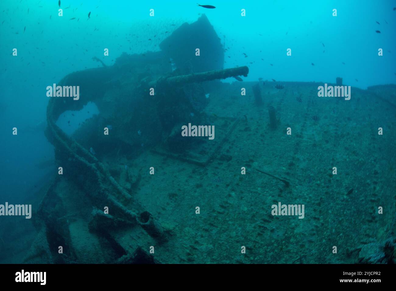 stern gun on wreck of SS thistlegorm red sea Stock Photo - Alamy