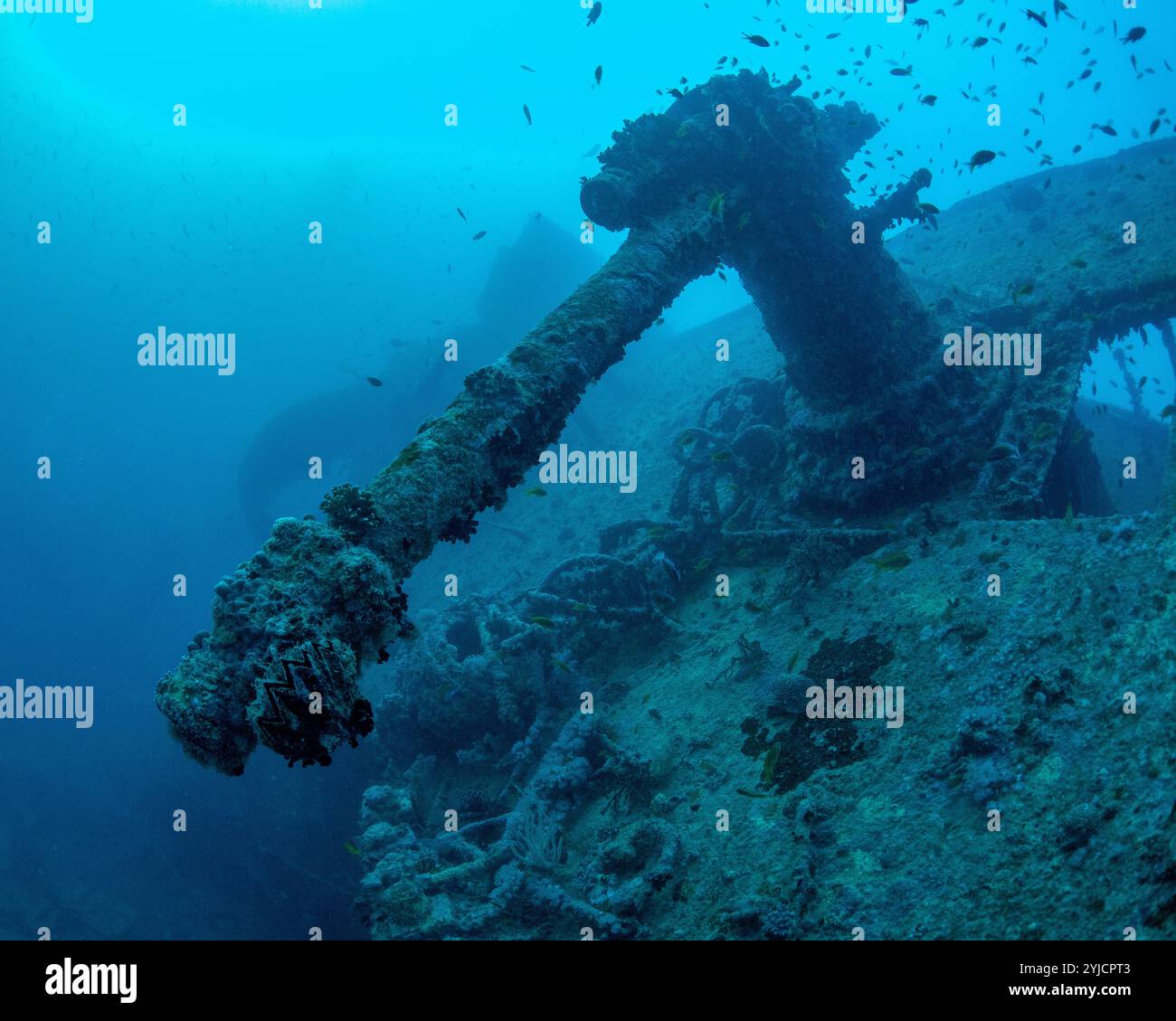 stern gun on wreck of SS thistlegorm red sea Stock Photo - Alamy
