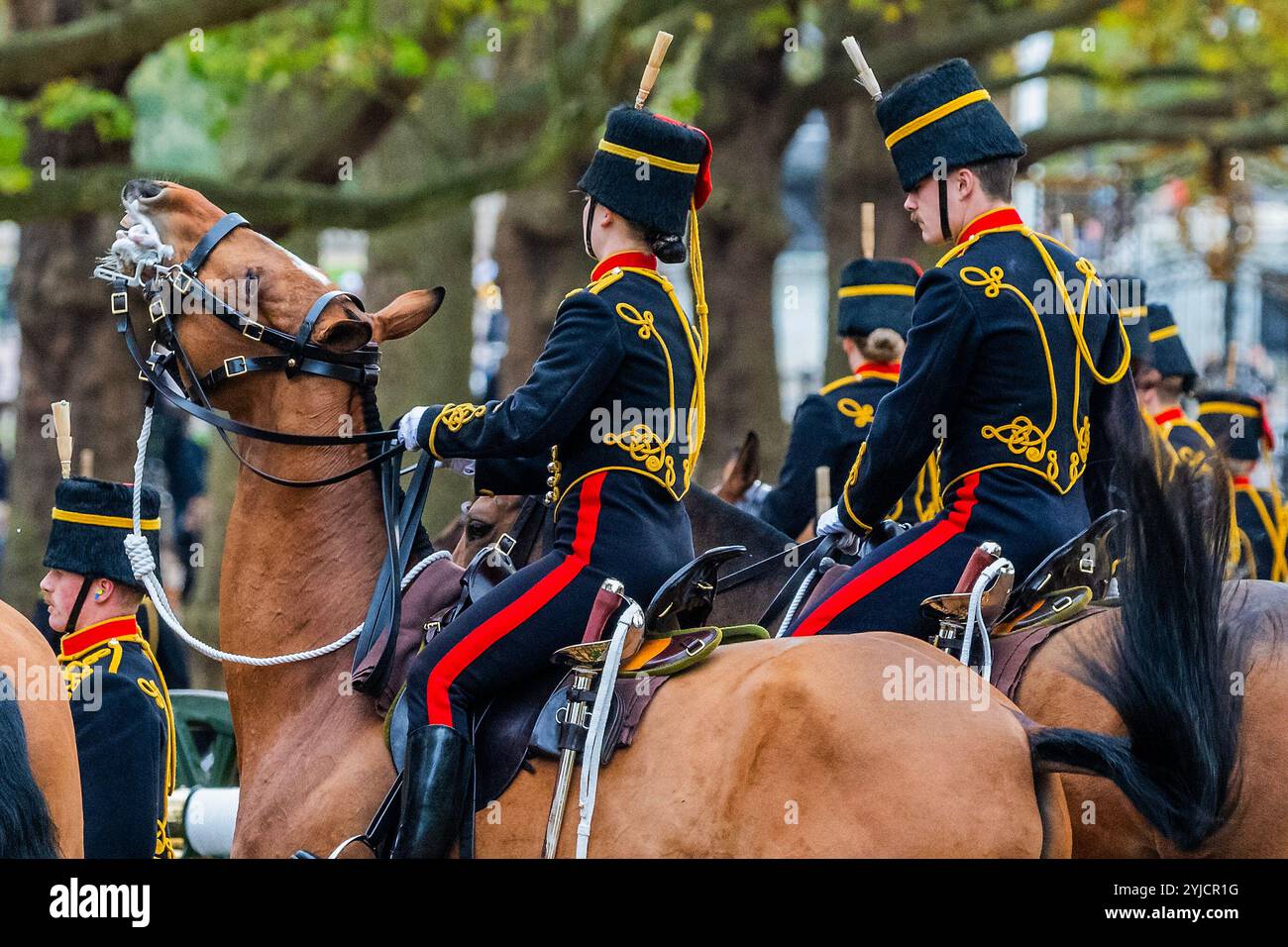 London, UK. 14th Nov, 2024. After the salute the guns are collected and ...