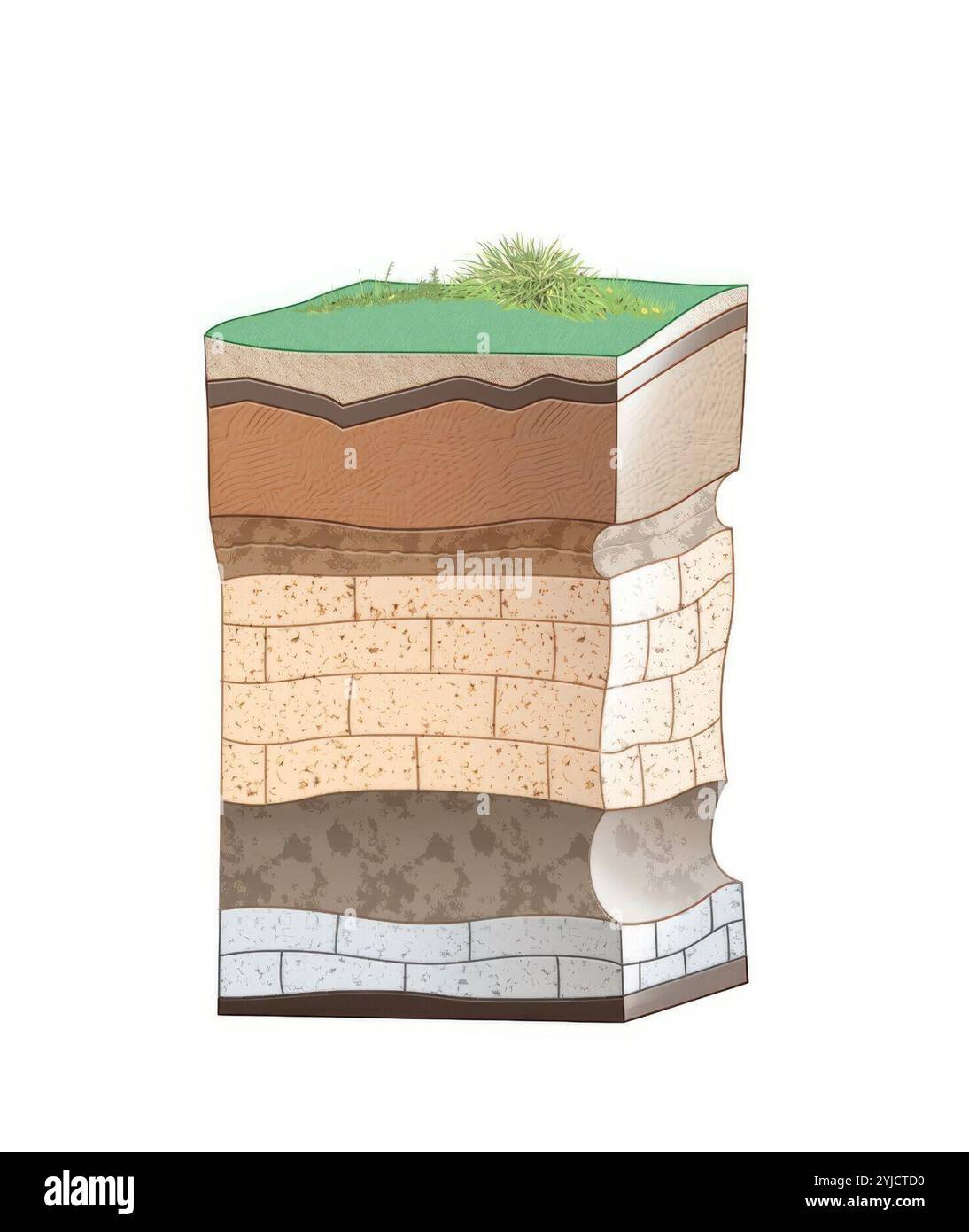 Soil profile Cut Out Stock Images & Pictures - Alamy