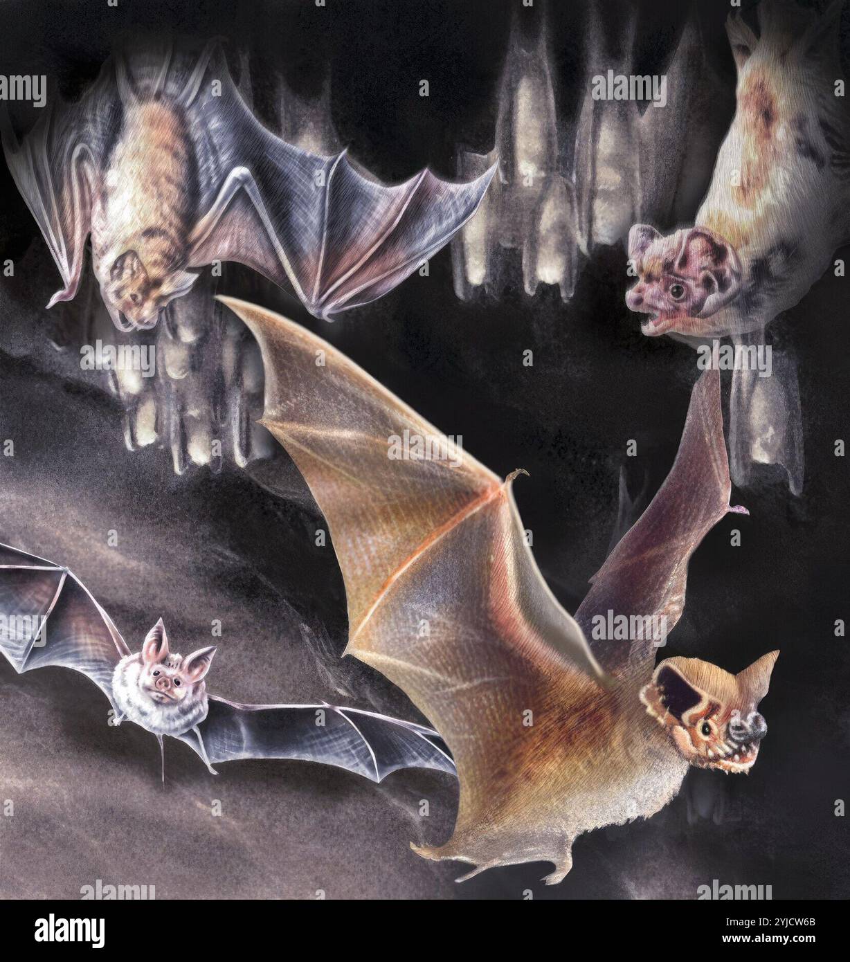 Common vampire. Group Stock Photo - Alamy