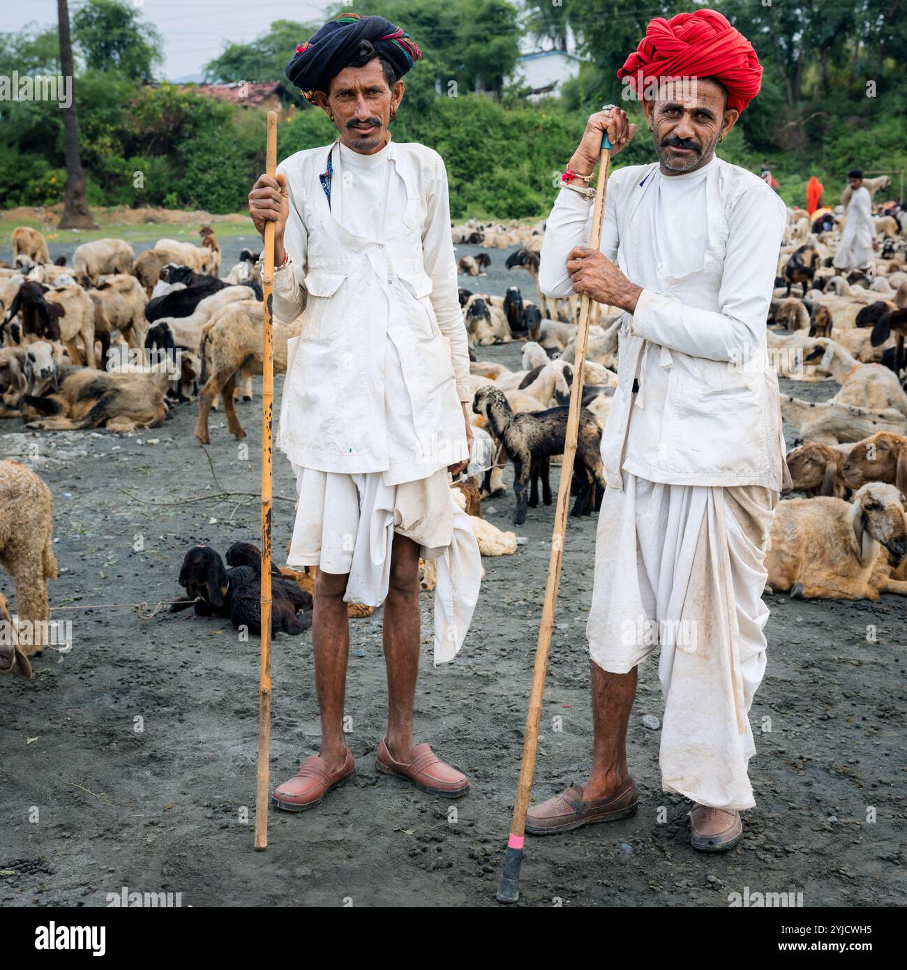 Rabari herder, Gujarat, India Stock Photo - Alamy