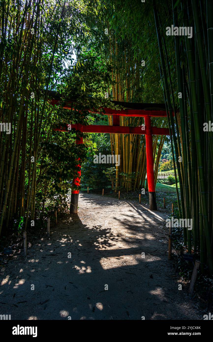 Bamboo gate hi-res stock photography and images - Alamy