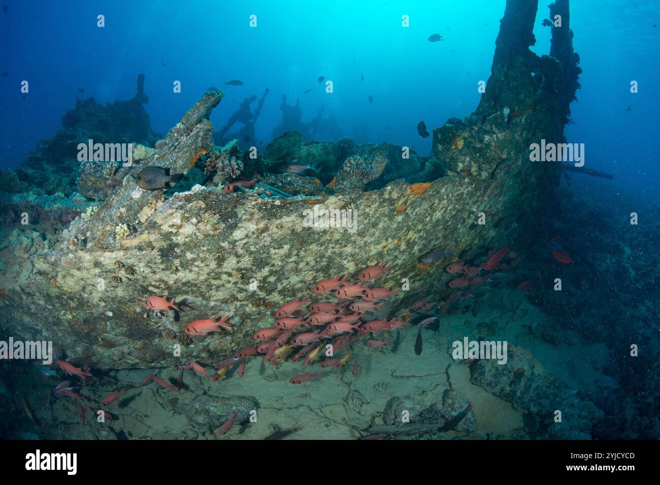 barge wreck red sea Stock Photo - Alamy
