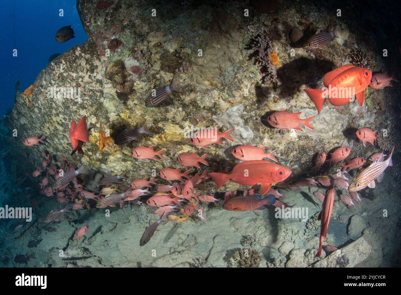 barge wreck red sea Stock Photo - Alamy