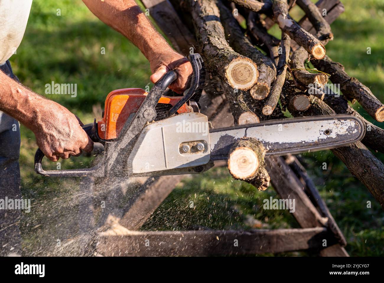 Worker chainsaw sawdust hi-res stock photography and images - Alamy