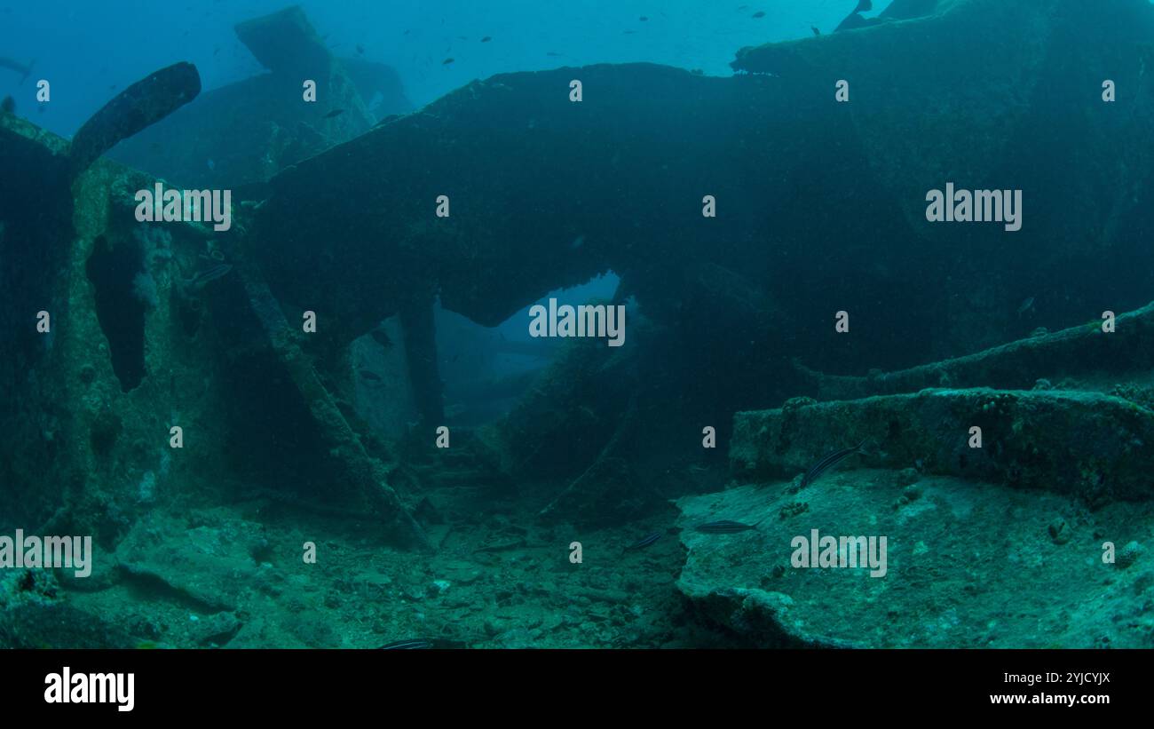 wreck of ss thistlegorm red sea Stock Photo - Alamy