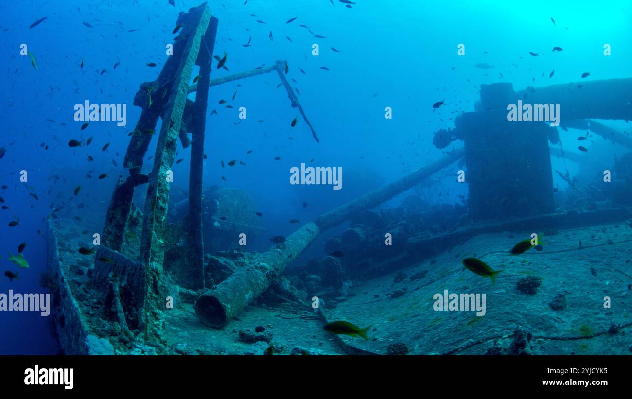 wreck of ss thistlegorm red sea Stock Photo - Alamy