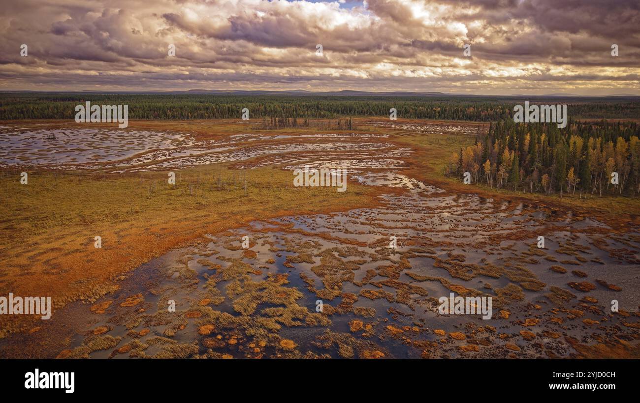 Moor, autumn, intense colouring, impressive cloud formation, drone shot ...