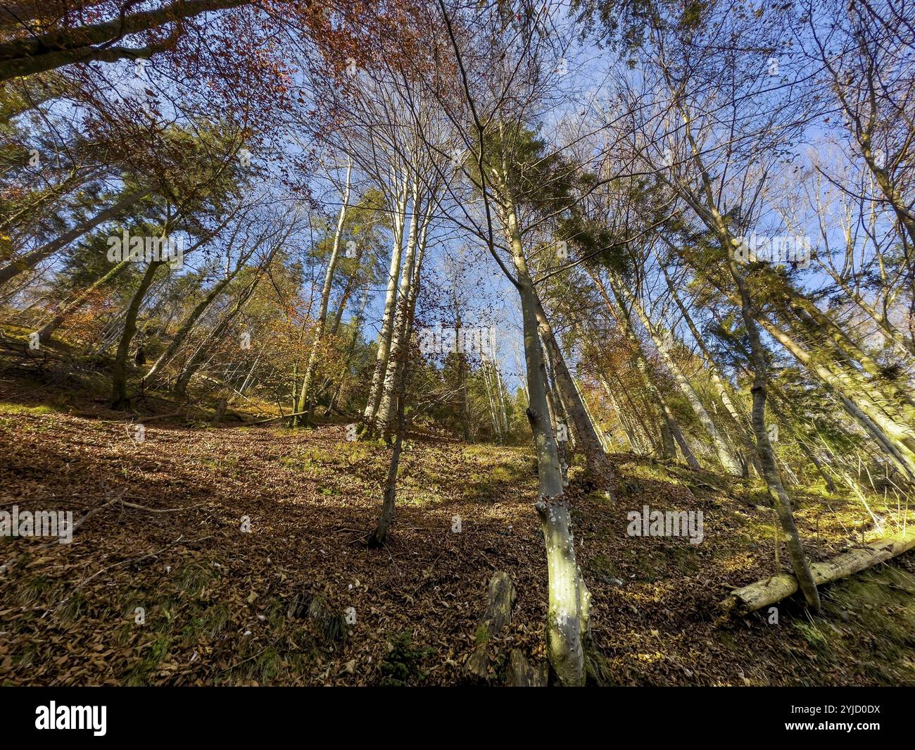 Diverse atmosphere hi-res stock photography and images - Alamy
