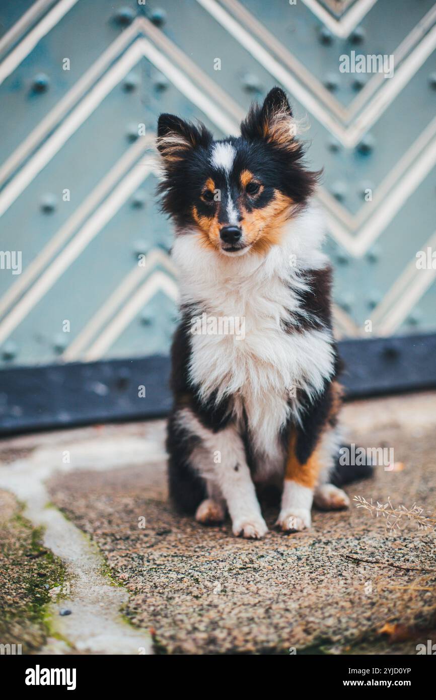 Town of breed hi-res stock photography and images - Alamy