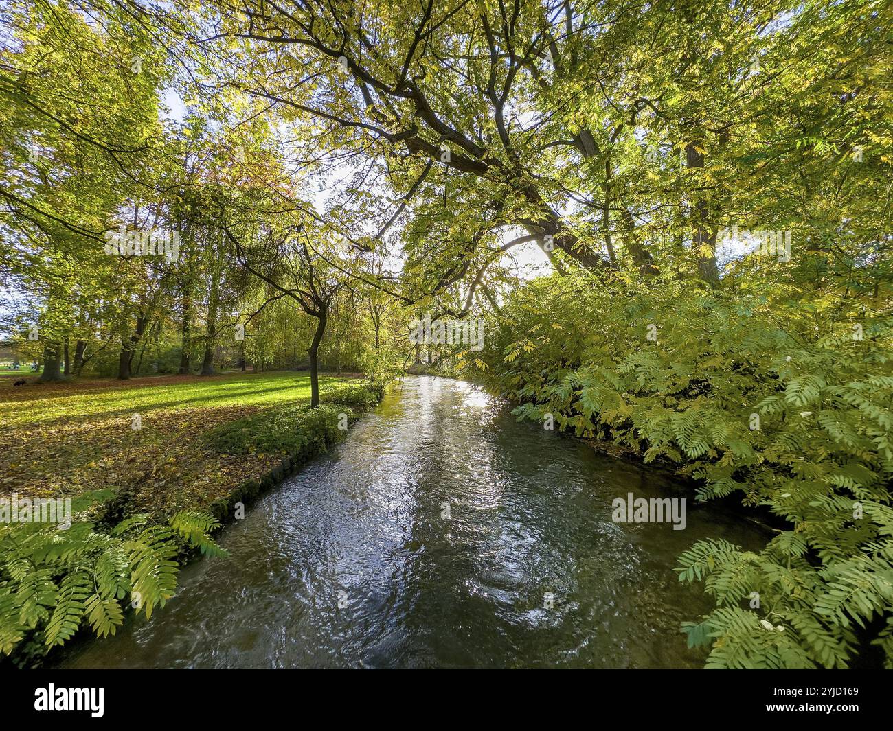 Autumn atmosphere in the English Garden, Schwabinger Bach, Munich ...