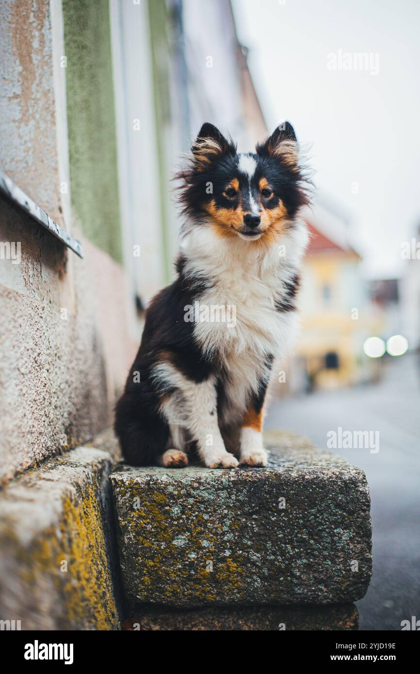 Town of breed hi-res stock photography and images - Alamy