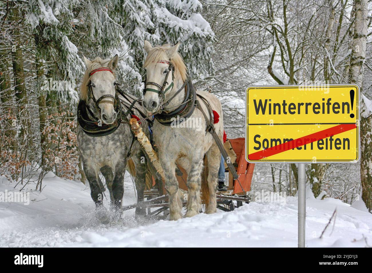 Humour picture, winter tyre sign, horse-drawn sleigh in the snow ...