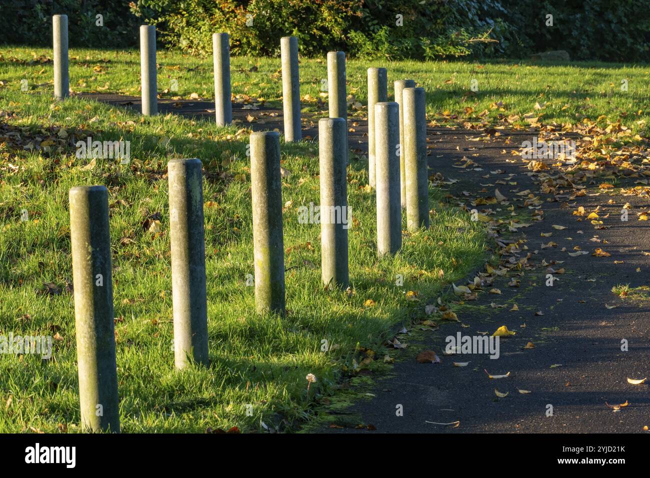 Short concrete bollards creating a barrier between grassy area and asphalt path covered with ...