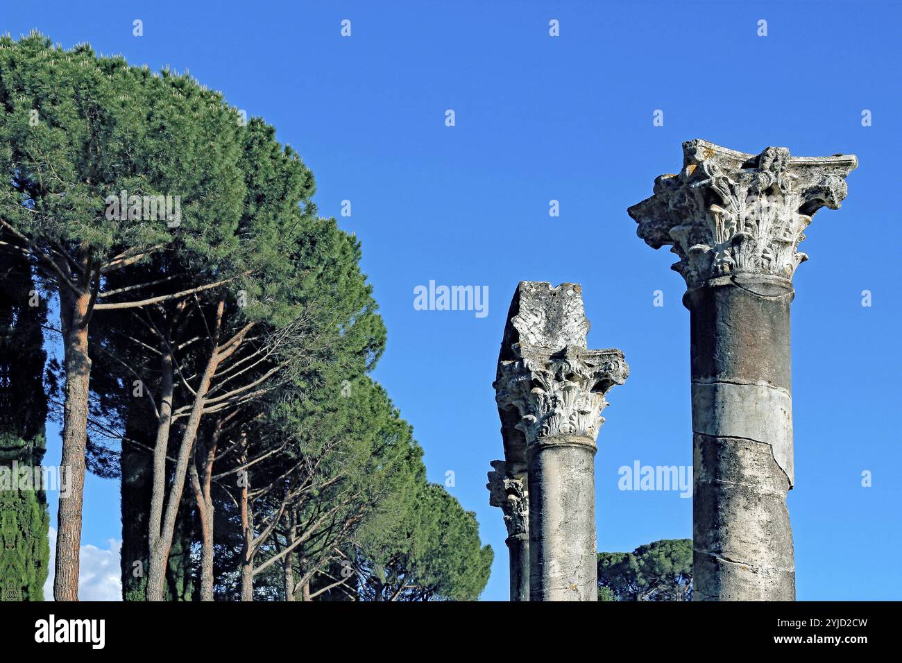 Corinthian columns, blue sky, pine trees Stock Photo - Alamy