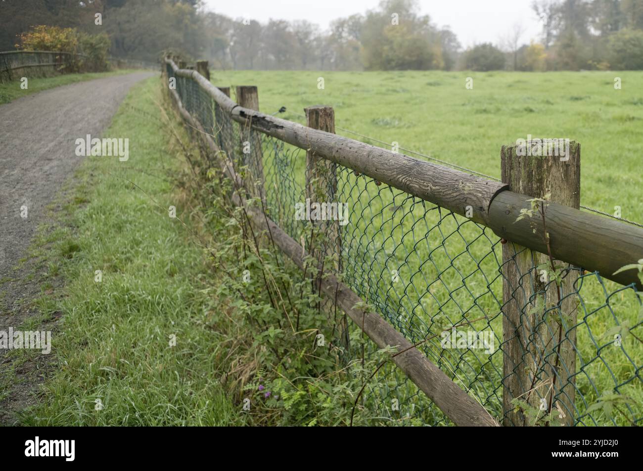 Old wooden fence with metal mesh separating countryside gravel road and ...