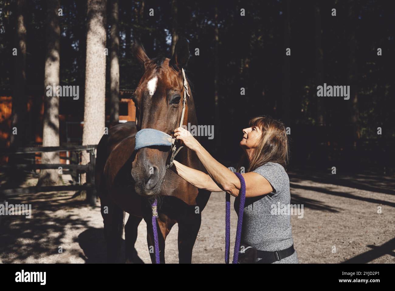Mature caucasian woman, owner of the horse, taking him out for a walk ...